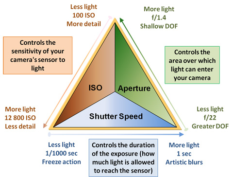 The Exposure Triangle in Nature Photography